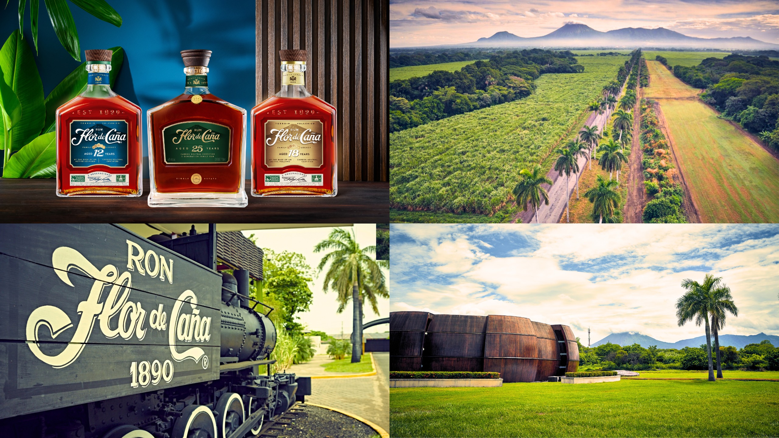 FRATELLI BRANCA DISTILLERIE DIVENTA IL NUOVO PARTNER E DISTRIBUTORE ...